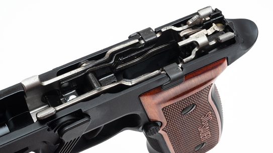 The Sig Sauer P320 AXG Classic: Shooting the Modern Classic