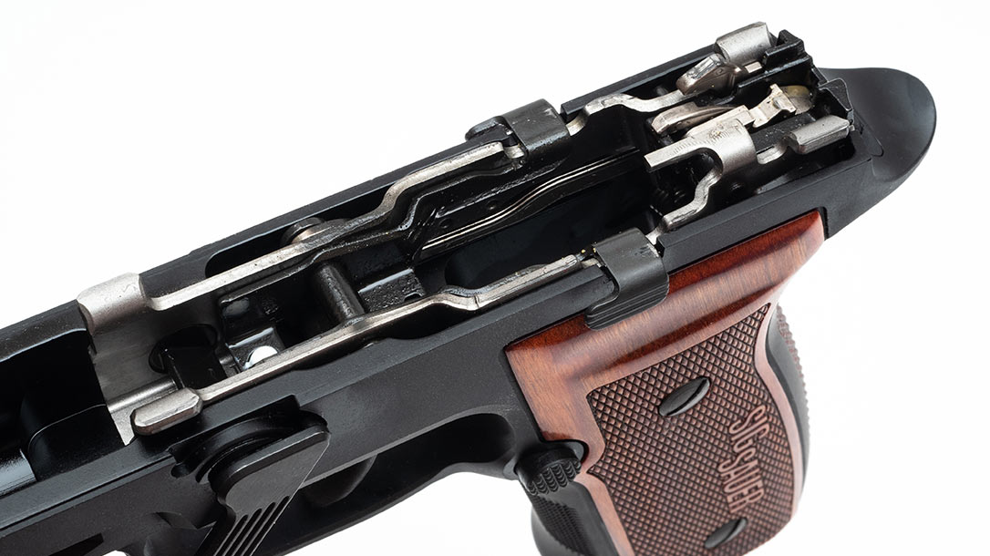 The Sig Sauer P320 AXG Classic: Shooting the Modern Classic