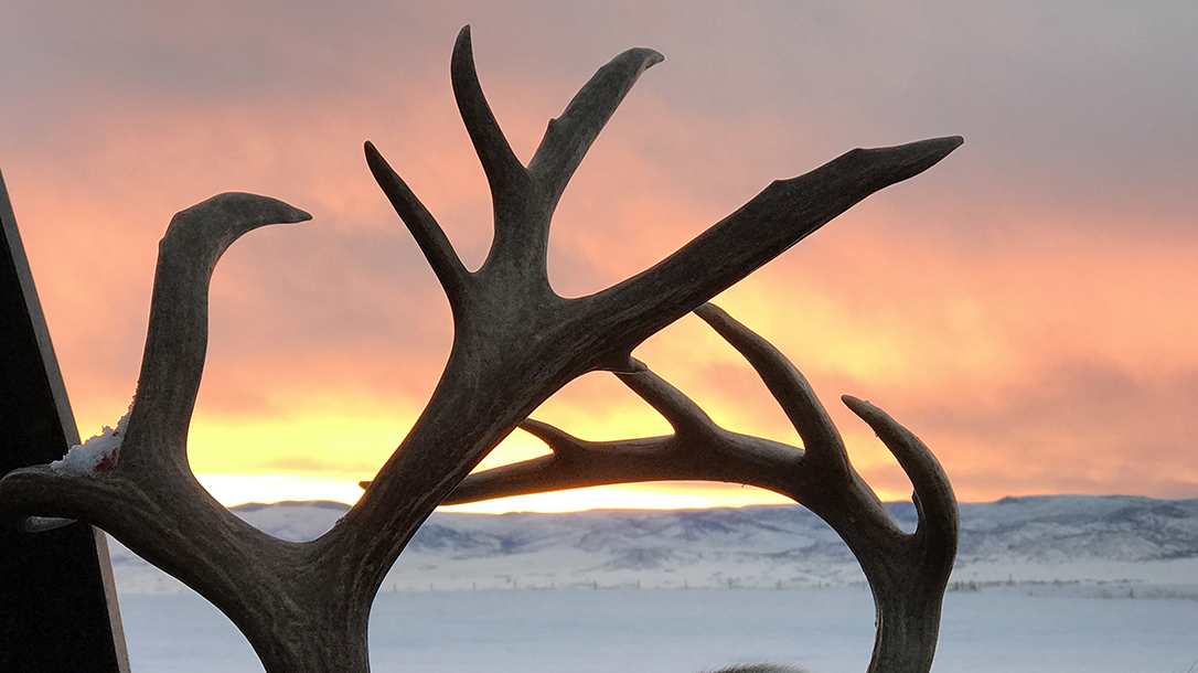 Chad Adams, Author at Athlon Outdoors