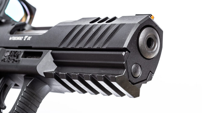 Walther Arms WMP Review - Renovating Magnum Rimfire