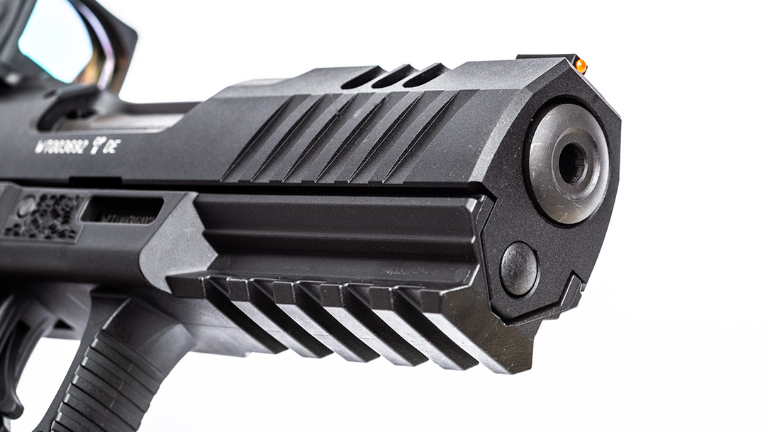 Walther Arms WMP Review - Renovating Magnum Rimfire