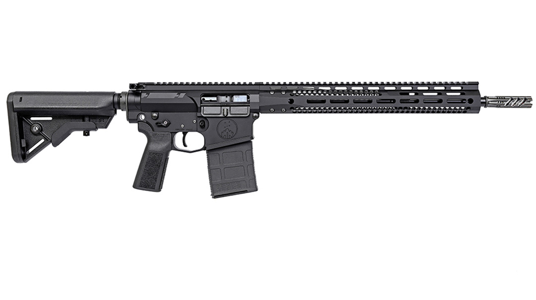 Watchtower AR-10 Style Rifle Built for Long Range Precision