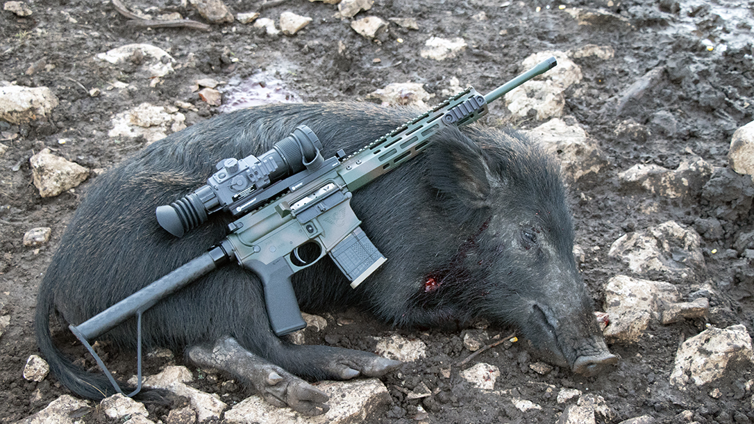 Video: Texas Thermal Hog Hunt Testing 300 HAM'R