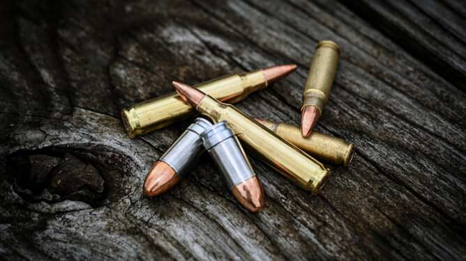 Bullet Calibers: Everything Beginners Need To Know