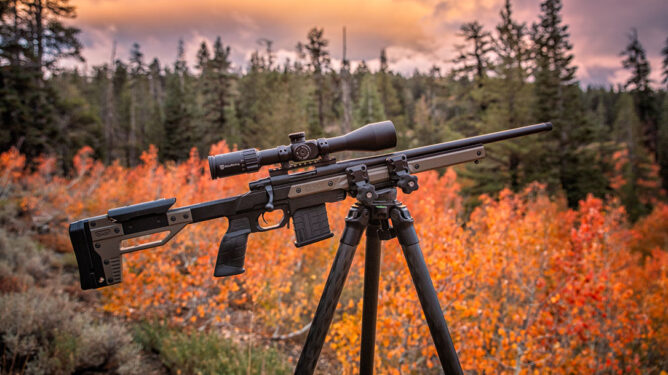 Tips & Considerations Before Buying Your First Rifle