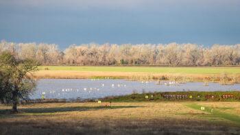 6 Popular Long-Distance Shooting Ranges in the USA