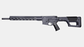 The RISE Armament Watchman XR 22 ARC Review