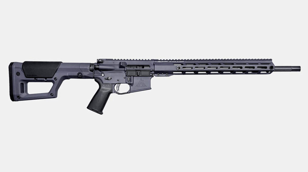 The RISE Armament Watchman XR 22 ARC Review
