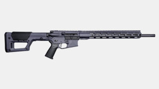 The RISE Armament Watchman XR 22 ARC Review