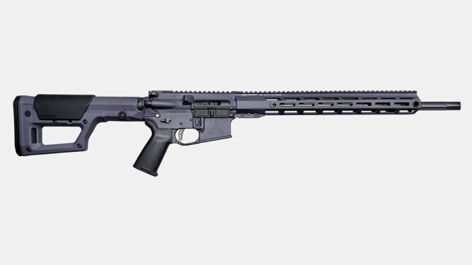 The RISE Armament Watchman XR 22 ARC Review