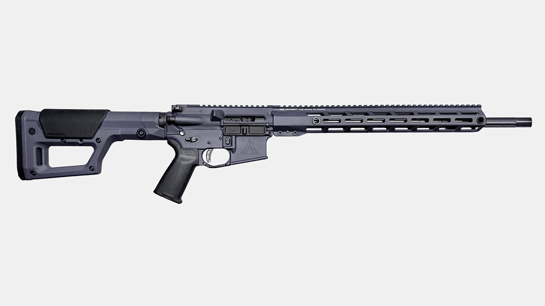 The RISE Armament Watchman XR 22 ARC Review