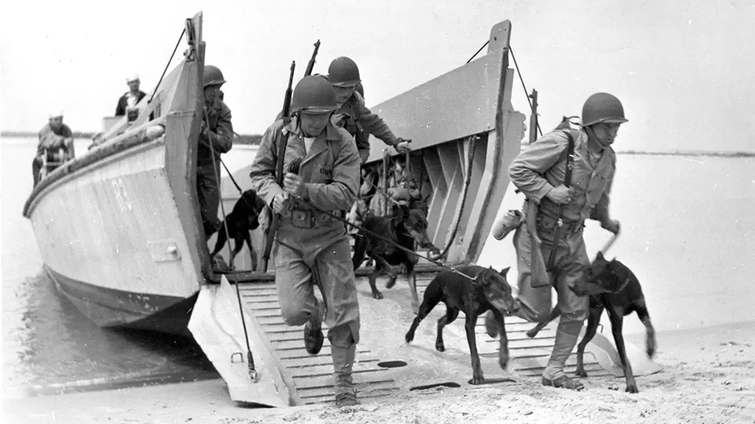 VIDEO: Vortex Supports U.S. War Dogs Association & You Can Too