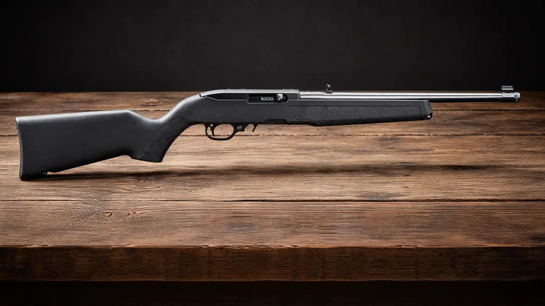 Re-Introducing the Ruger 10/22 - After Sex Decades